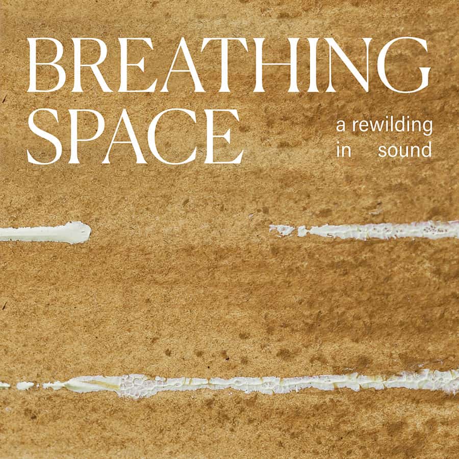 Breathing Space - Genevieve Lacey